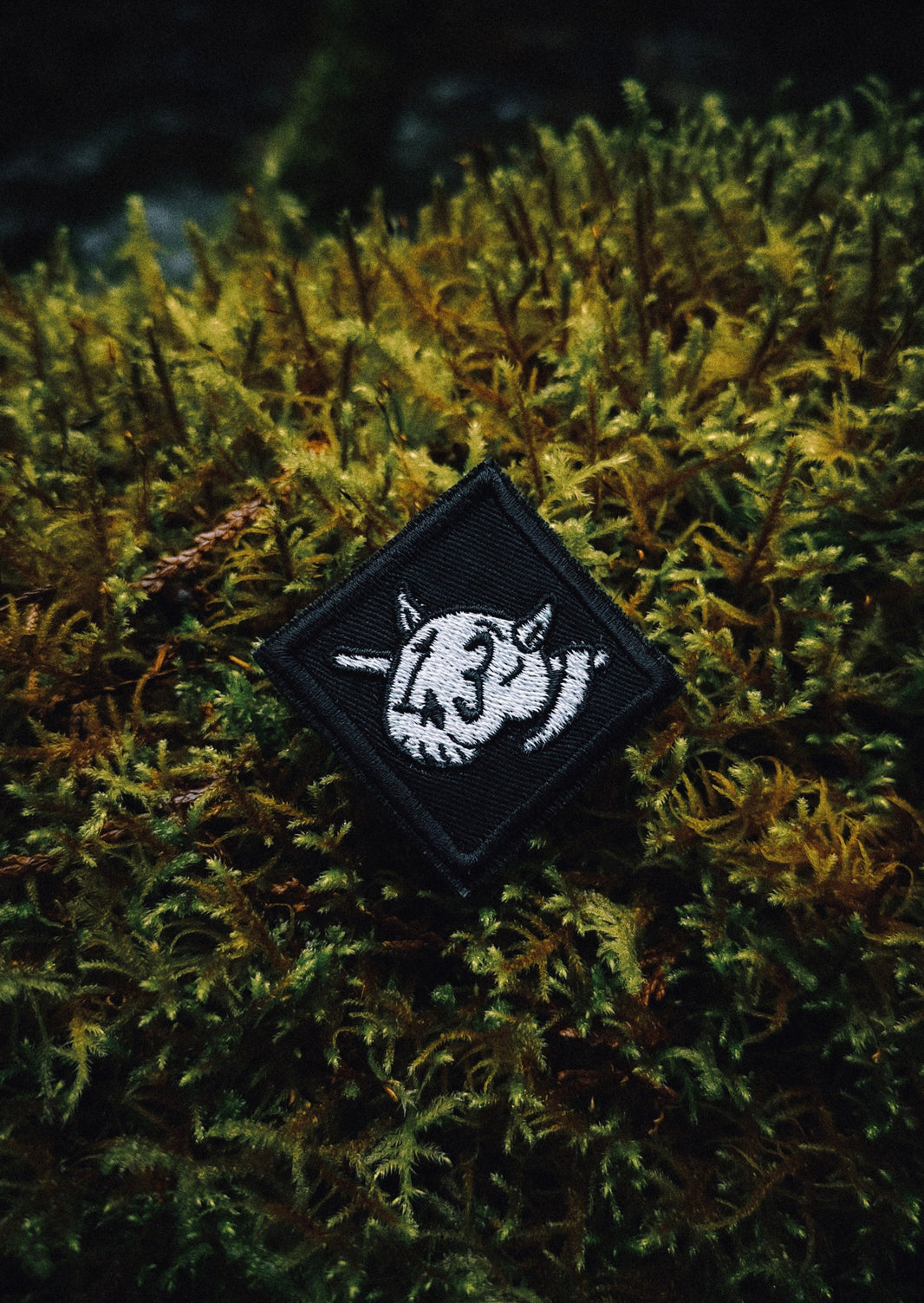 Cursed Merit Badges – Thirteen Systems