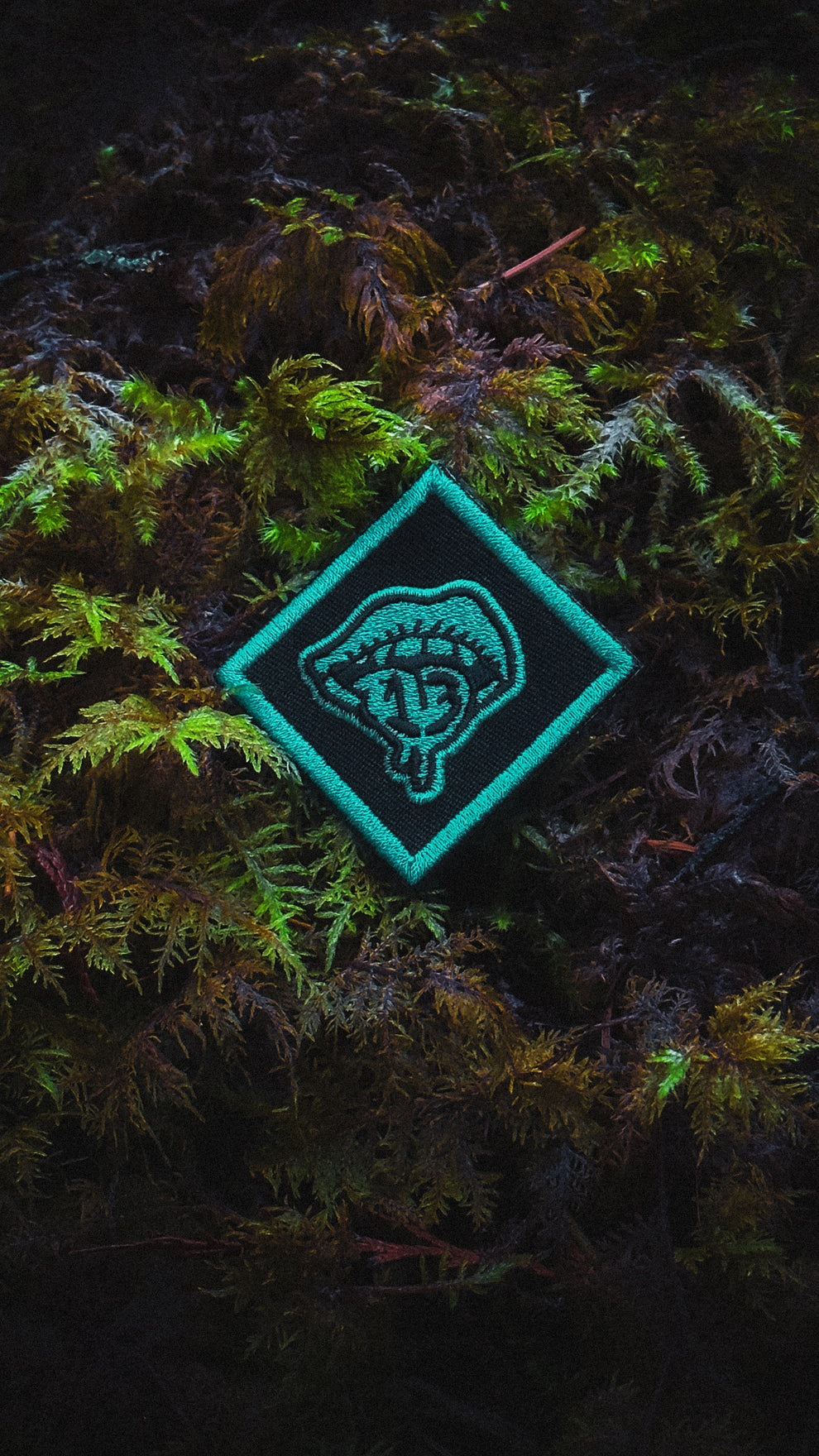 Cursed Merit Badge Patches - Baja – Thirteen Systems