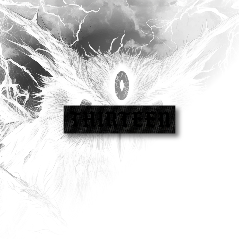 Thirteen Strip Patch - Black/IR – Thirteen Systems